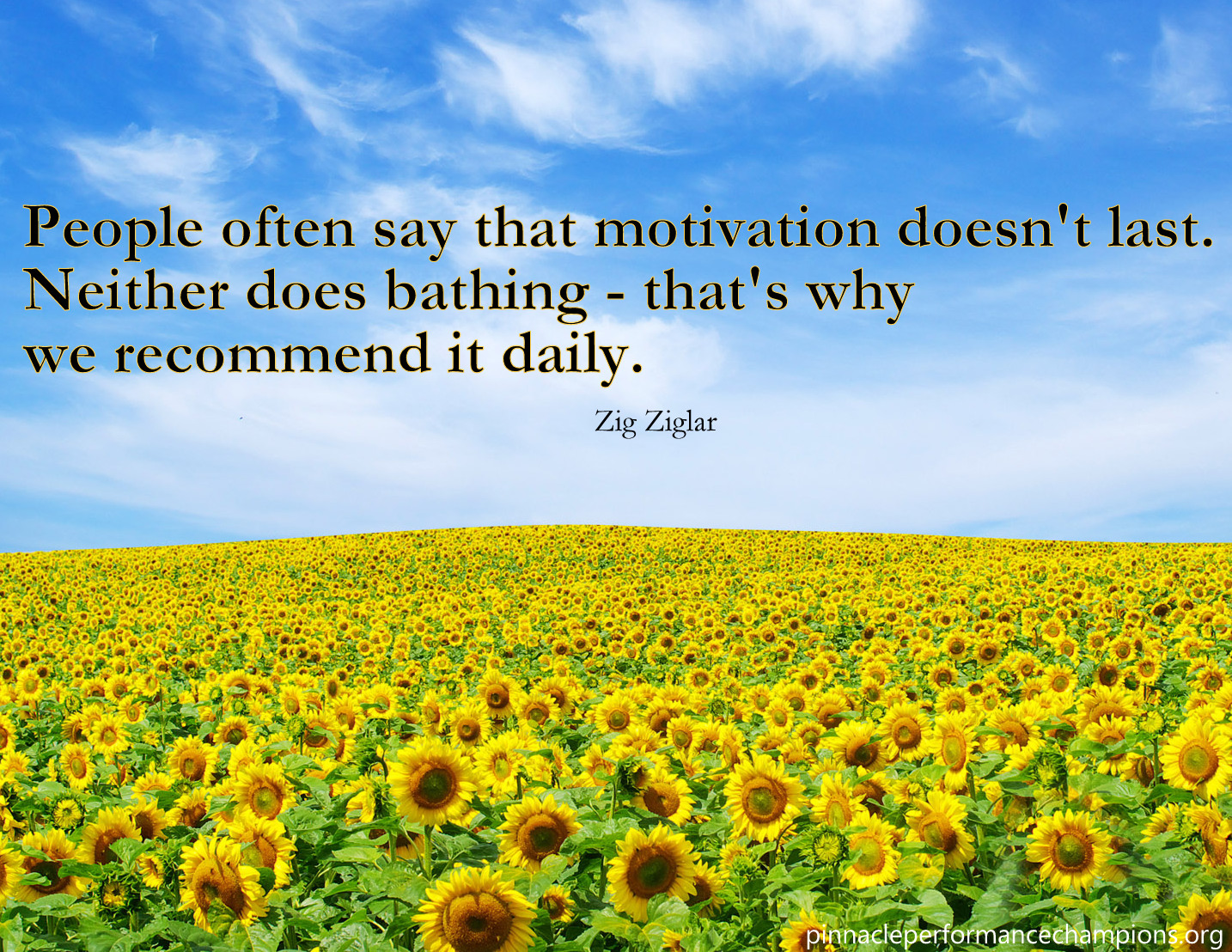 Success Lessons From Zig | Pinnacle Performance Champions