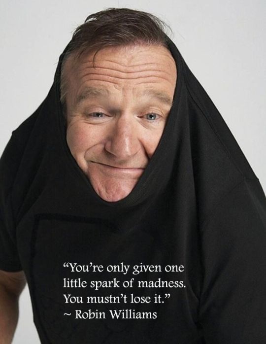 25 Life Lessons We Learned From Robin Williams Characters | Pinnacle ...