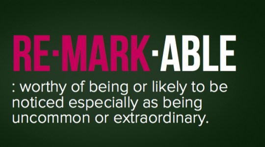 Pinnacle Performance Champions | Steve Ferrante's High Performance Blog ...